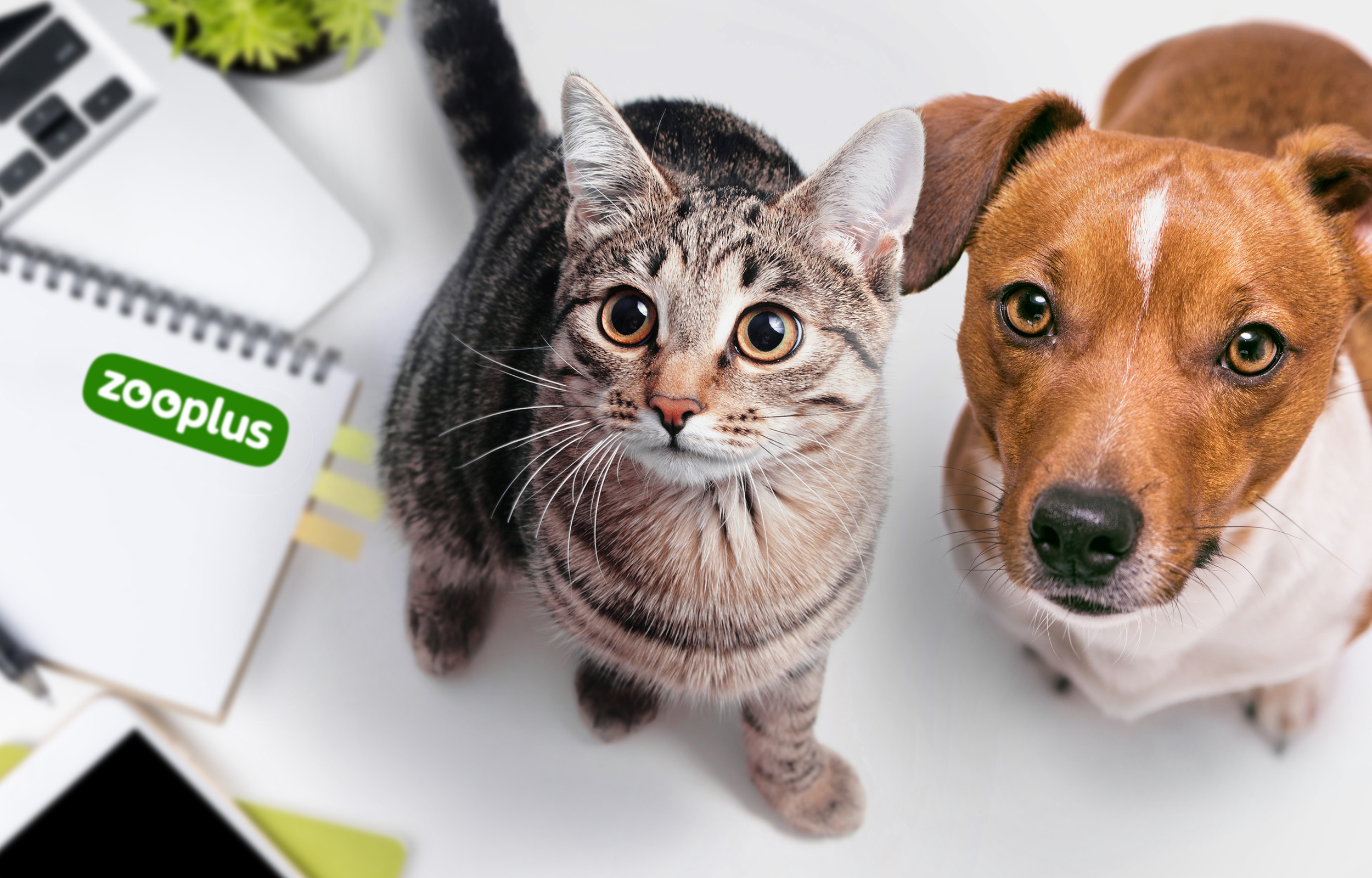 Home - zooplus SE - Corporate Website